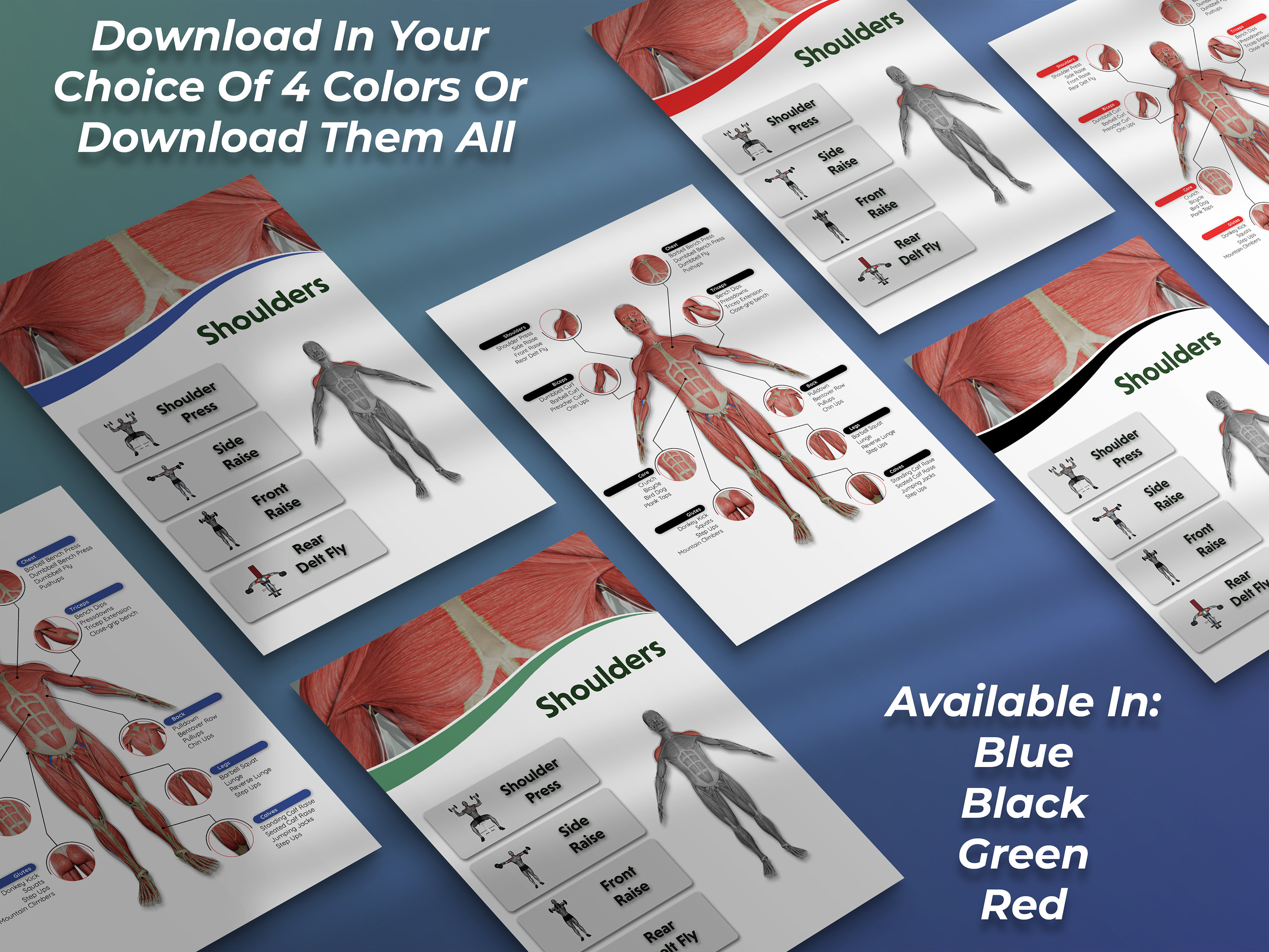 Muscle Chart & Exercise Instruction - Etsy