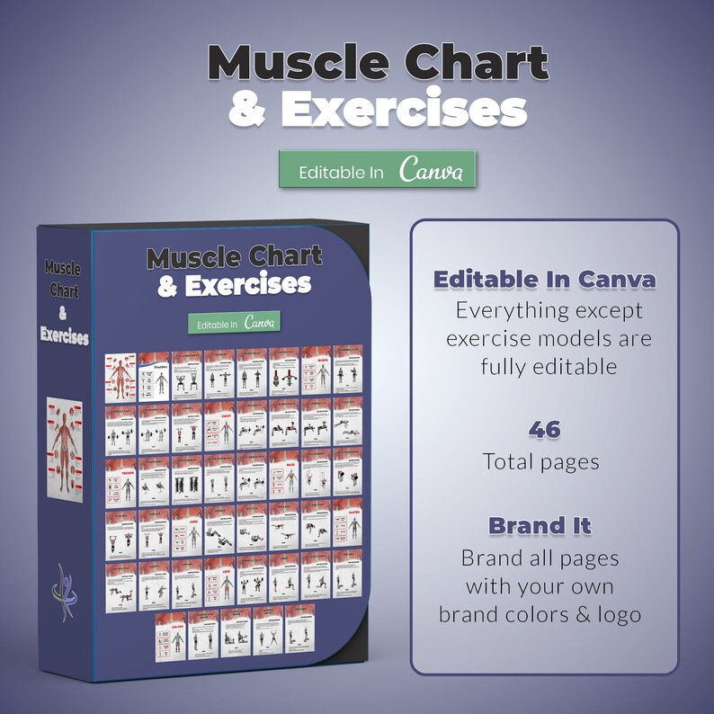 Muscle Chart & Exercise Instruction - Canva - Etsy