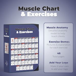 Muscle Chart & Exercise Instruction - Etsy