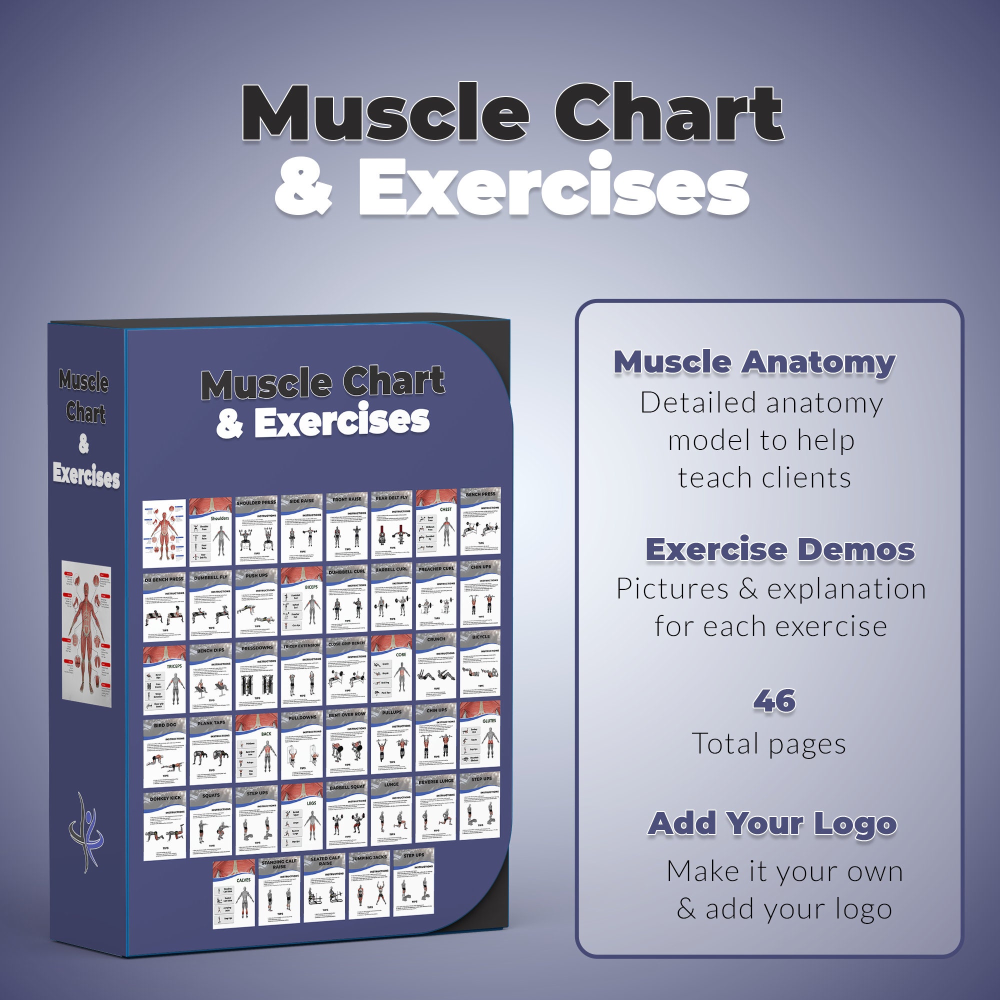 Muscle Chart & Exercise Instruction - Etsy