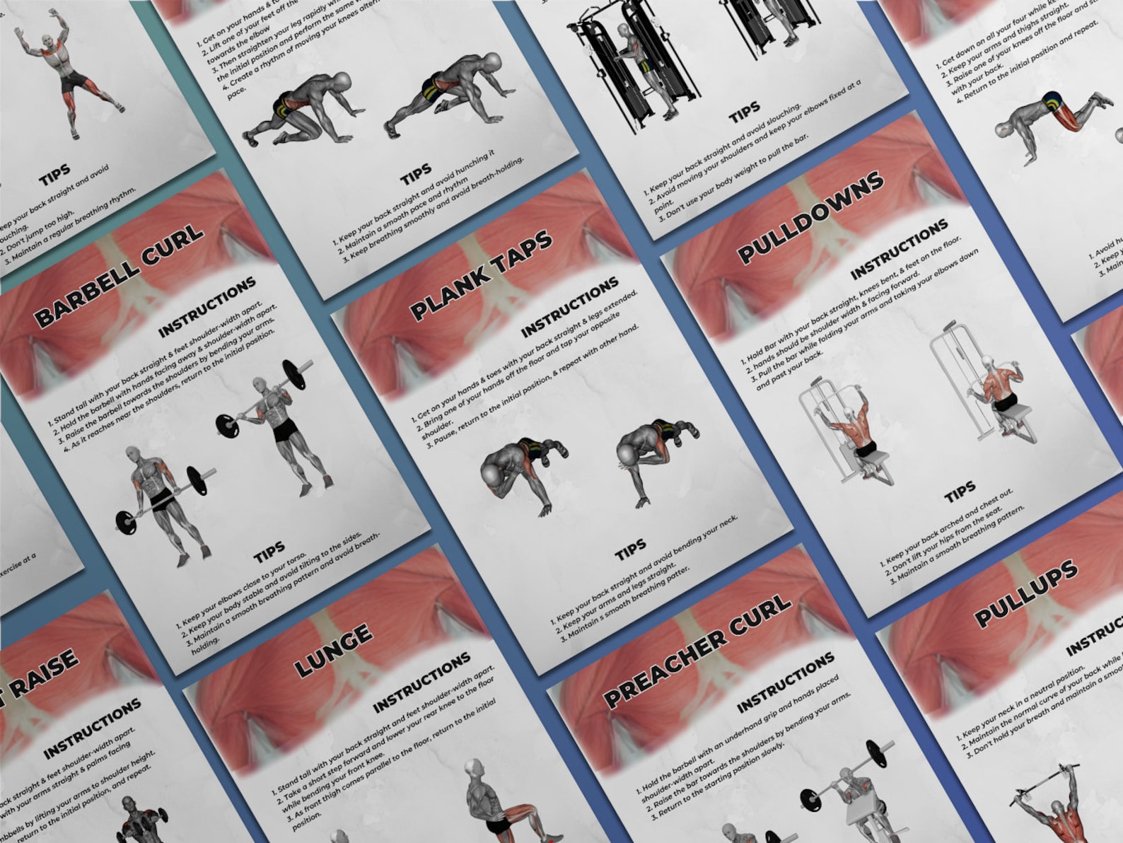 Muscle Chart & Exercise Instruction - Canva - Etsy