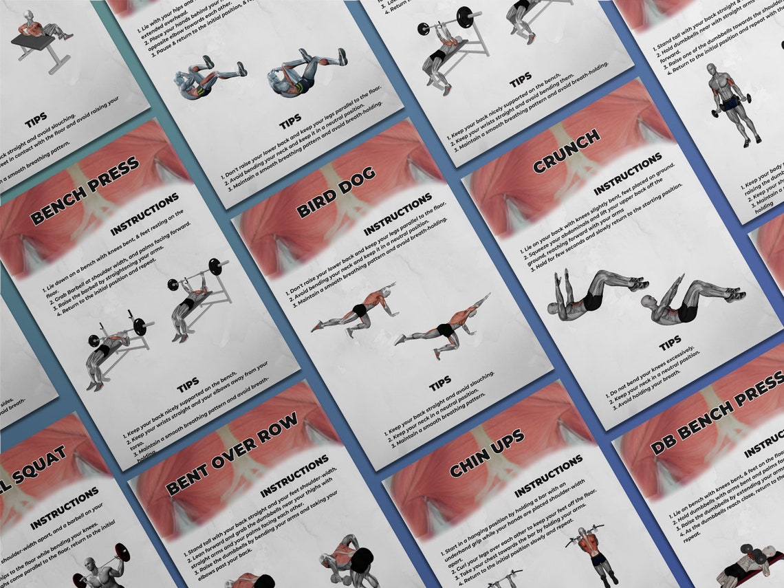 Muscle Chart & Exercise Instruction - Canva - Etsy