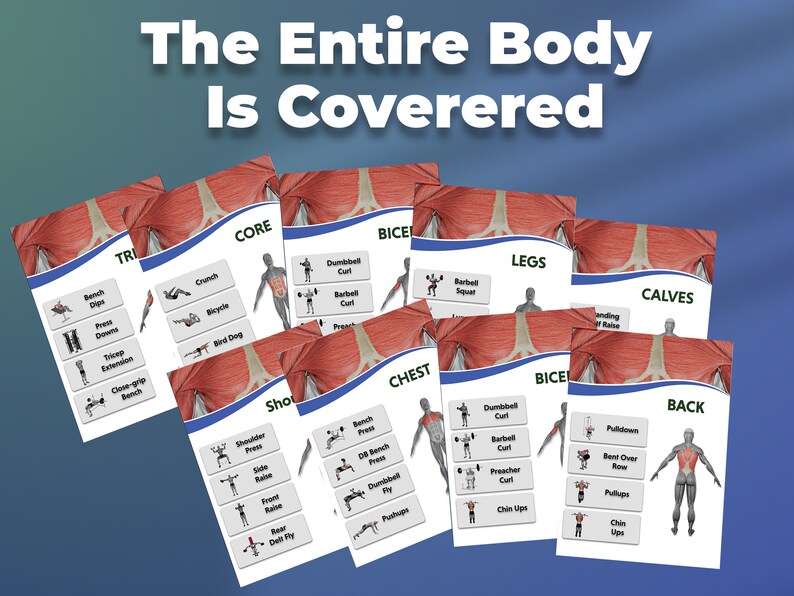 Muscle Chart & Exercise Instruction - Etsy