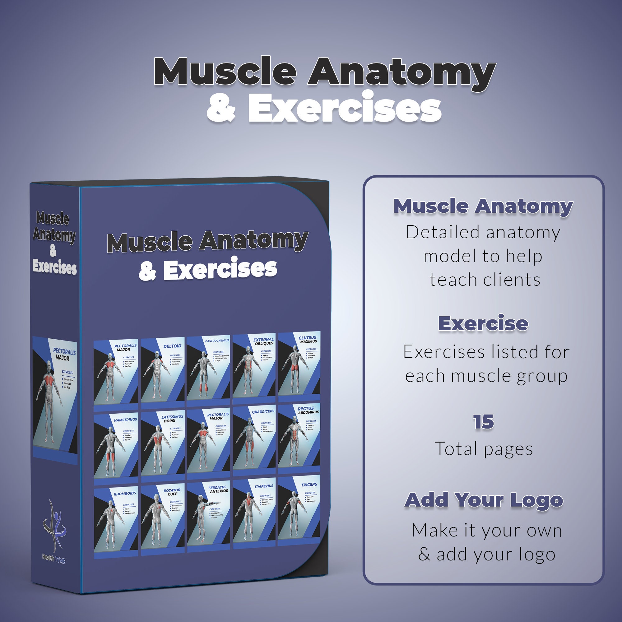 Muscle Anatomy & Exercises - Etsy