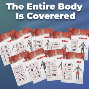 Muscle Chart & Exercise Instruction - Canva - Etsy