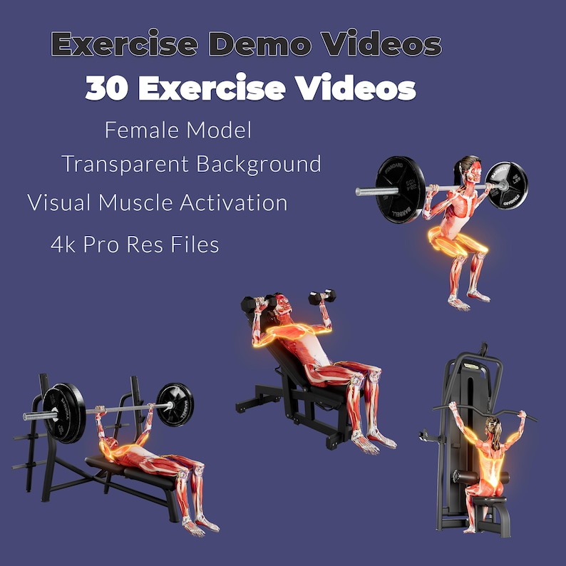 3d Female Model Anatomy Exercise Demo Videos - Etsy