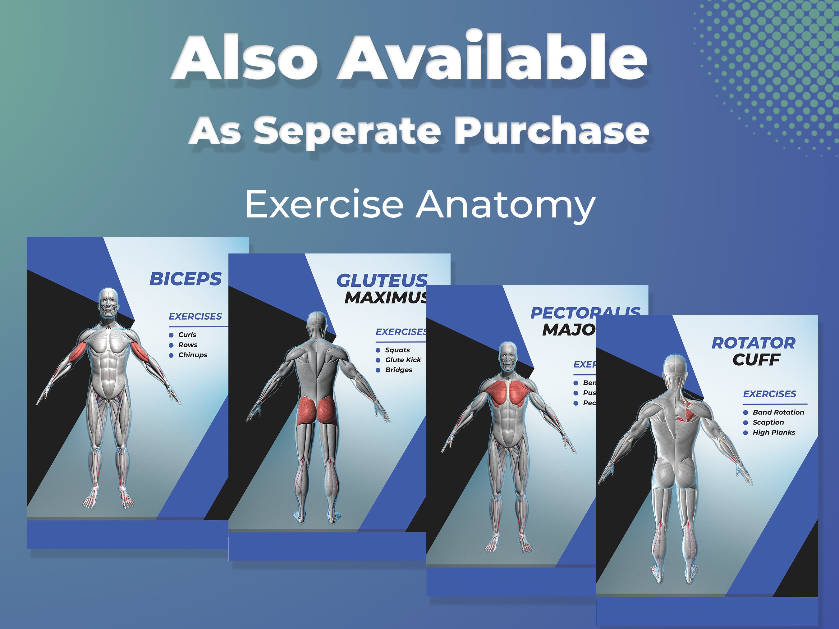 3D Female Character - Lower Body Workout - Etsy