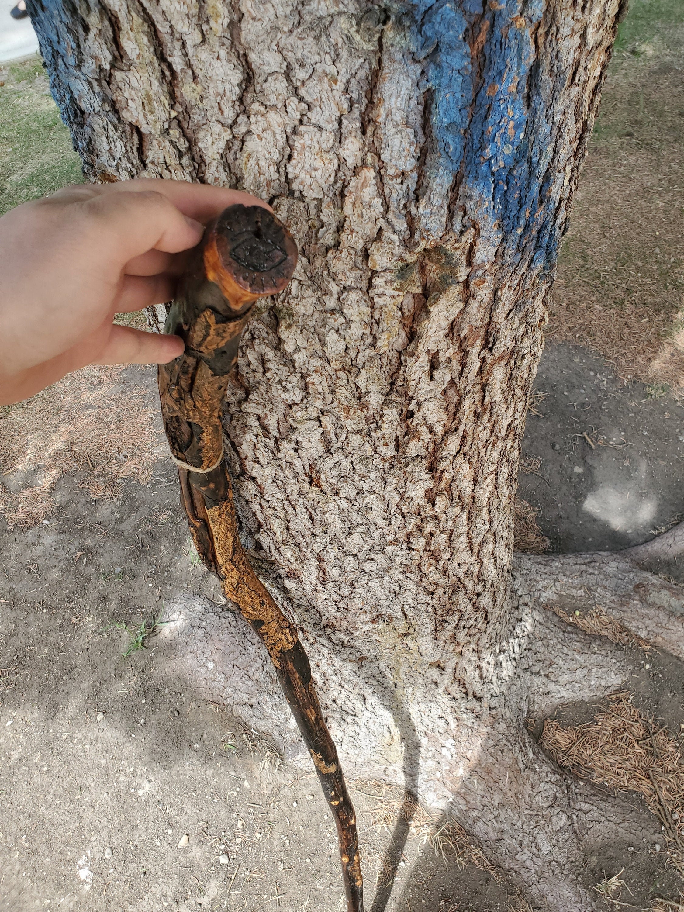 Goddess of Protection Staff, Avalon Priestess Altar Staff, Magic Wand ...
