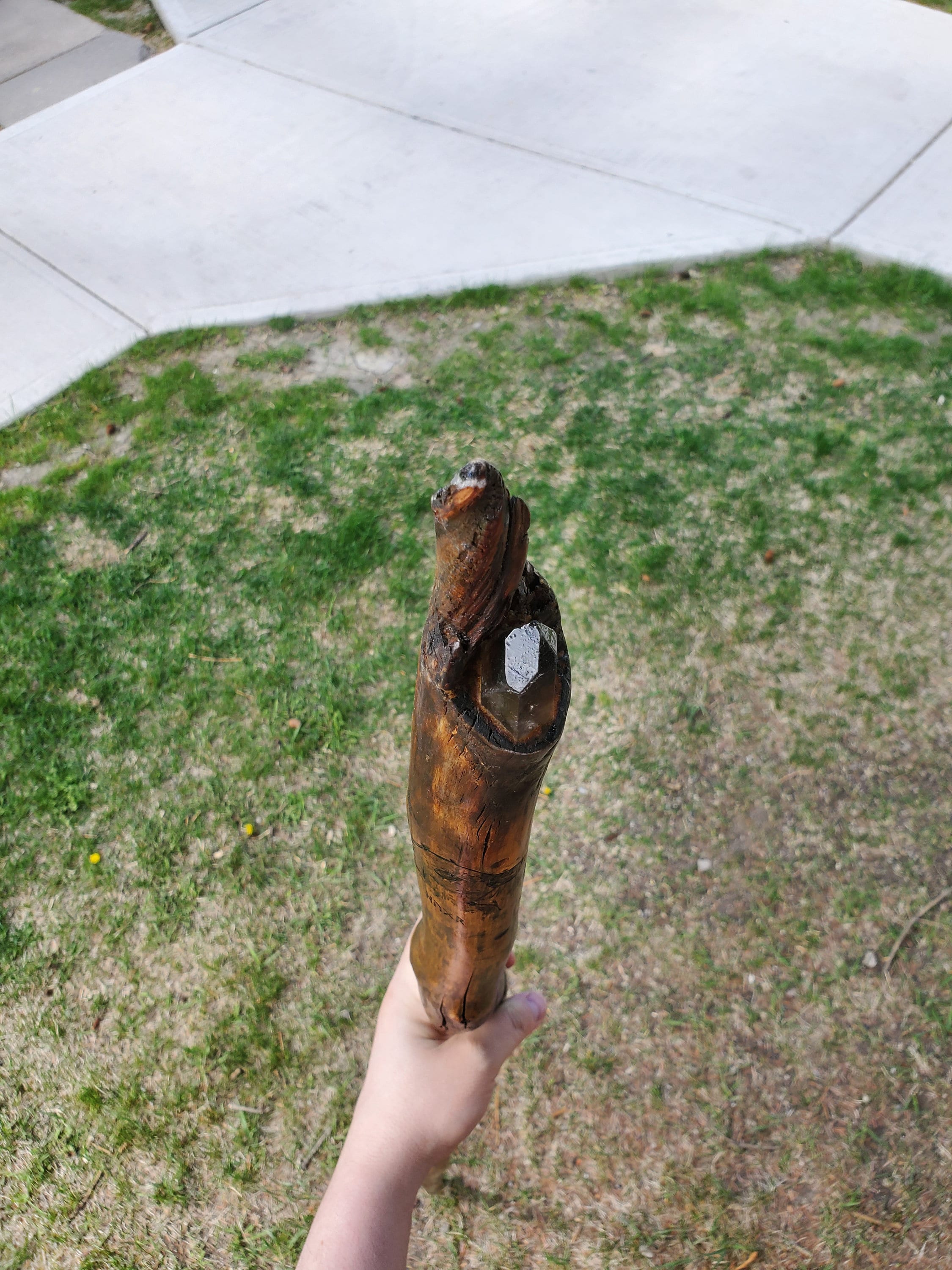 Muninn Raven Norse Staff , Mythical Huginn of Odin, Bring the Wisdom of ...