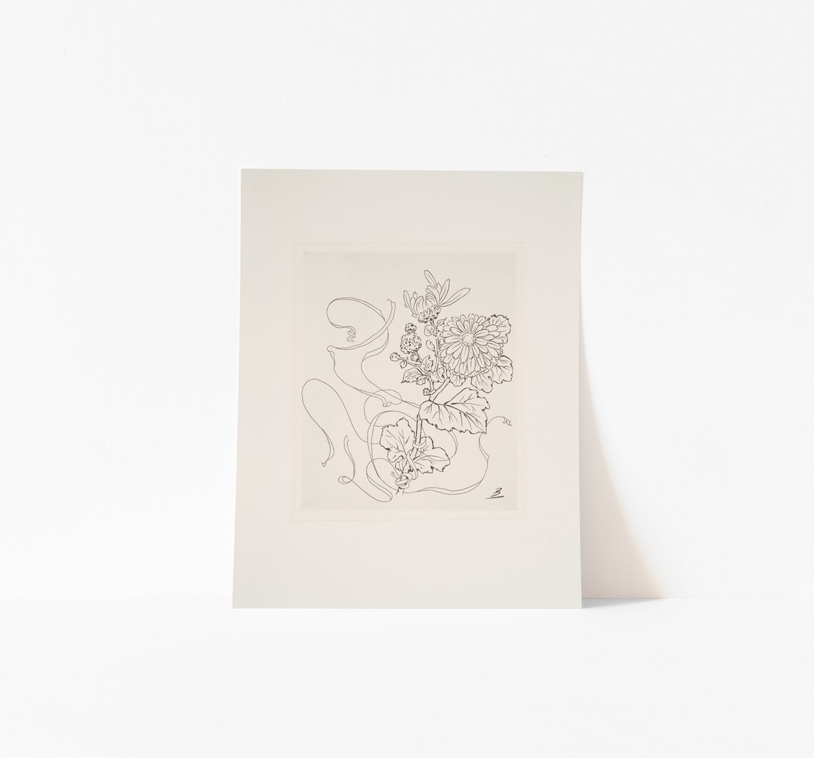 French Antique Black and White Flower Sketches II | Vintage Botanical ...