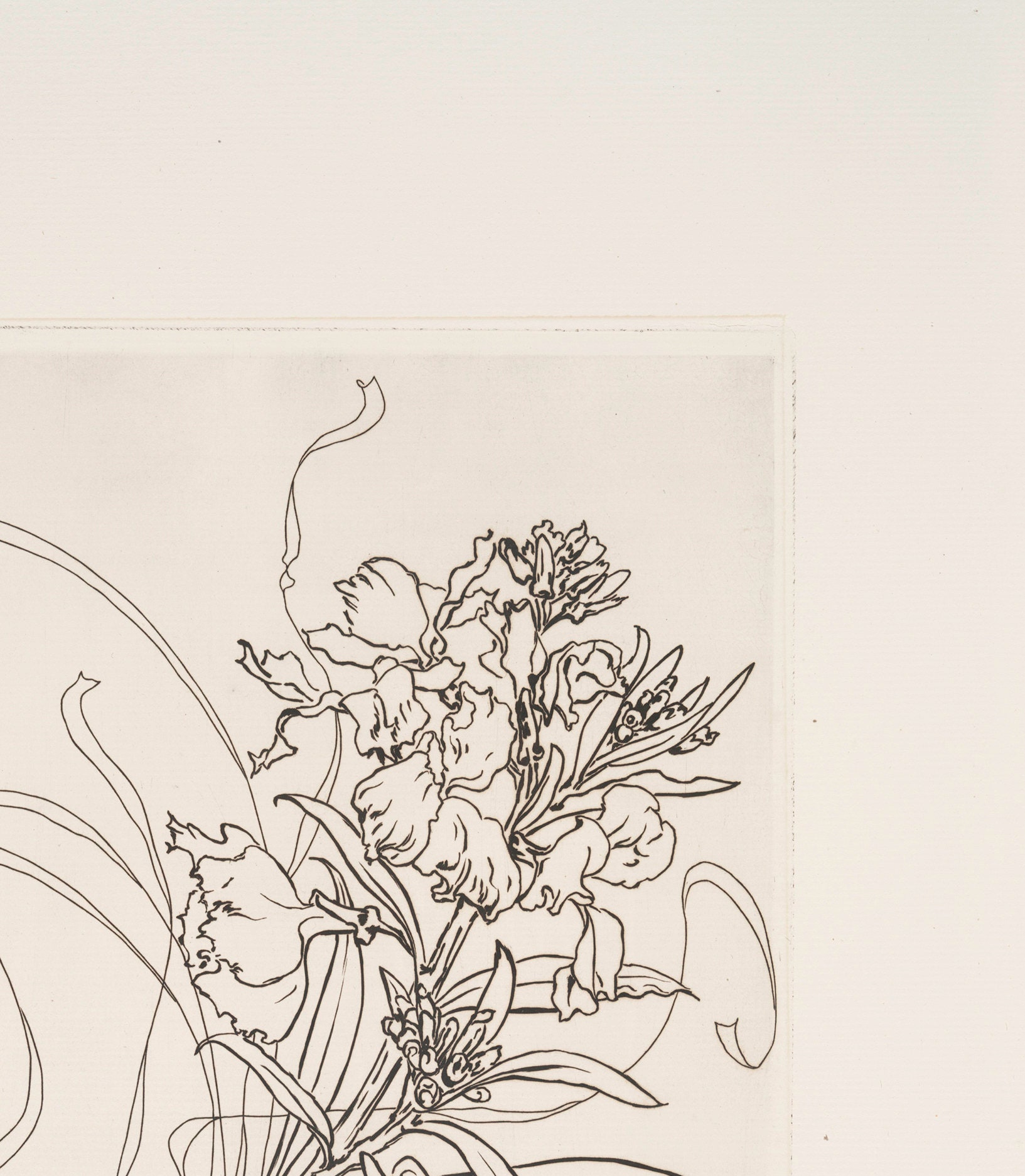 French Antique Black and White Flower Sketches Vintage | Etsy