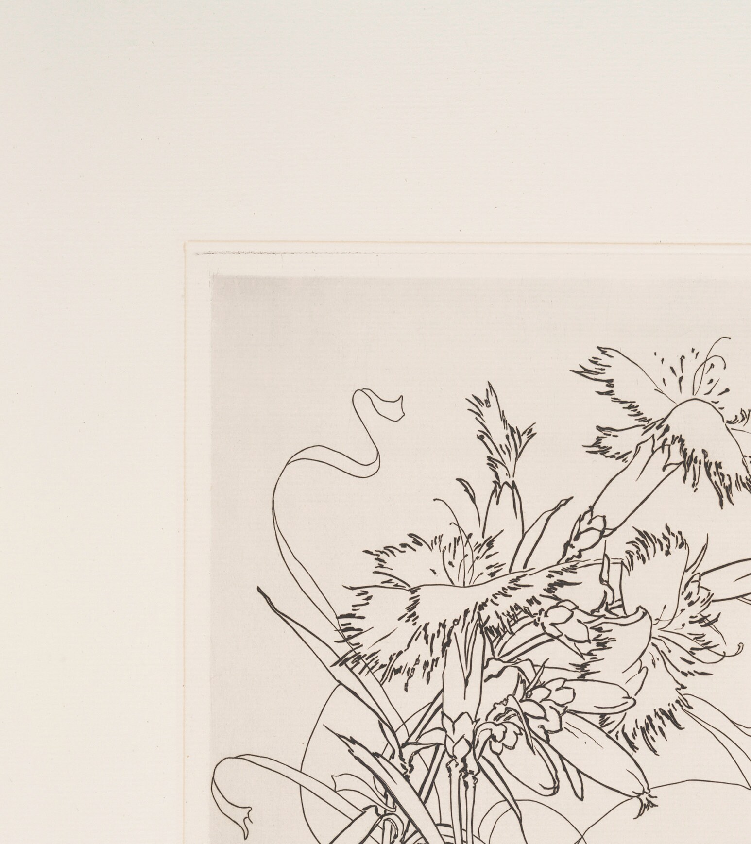 French Antique Black and White Flower Sketches II | Vintage Botanical ...