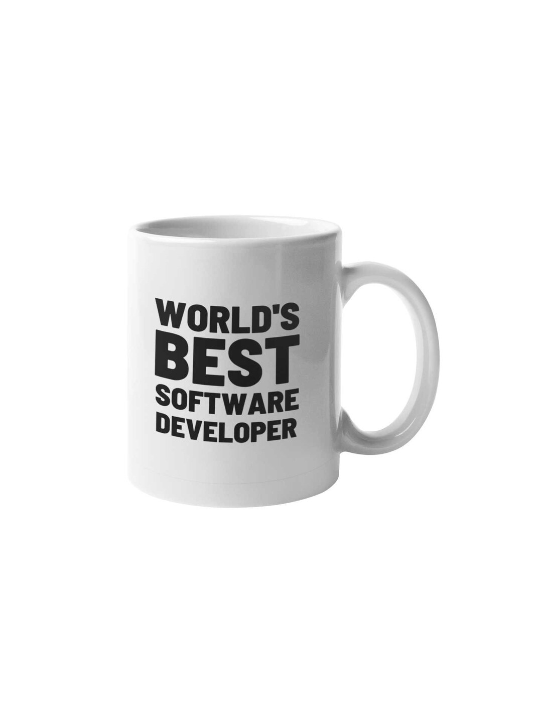 World's Best Software Developer Mug - Etsy