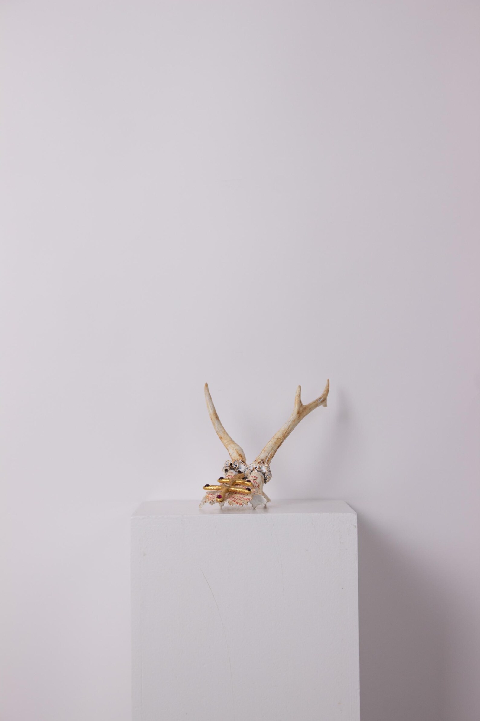 Deer Skull Sculpture With Church Slavic Text and Patriarchal Cross ...