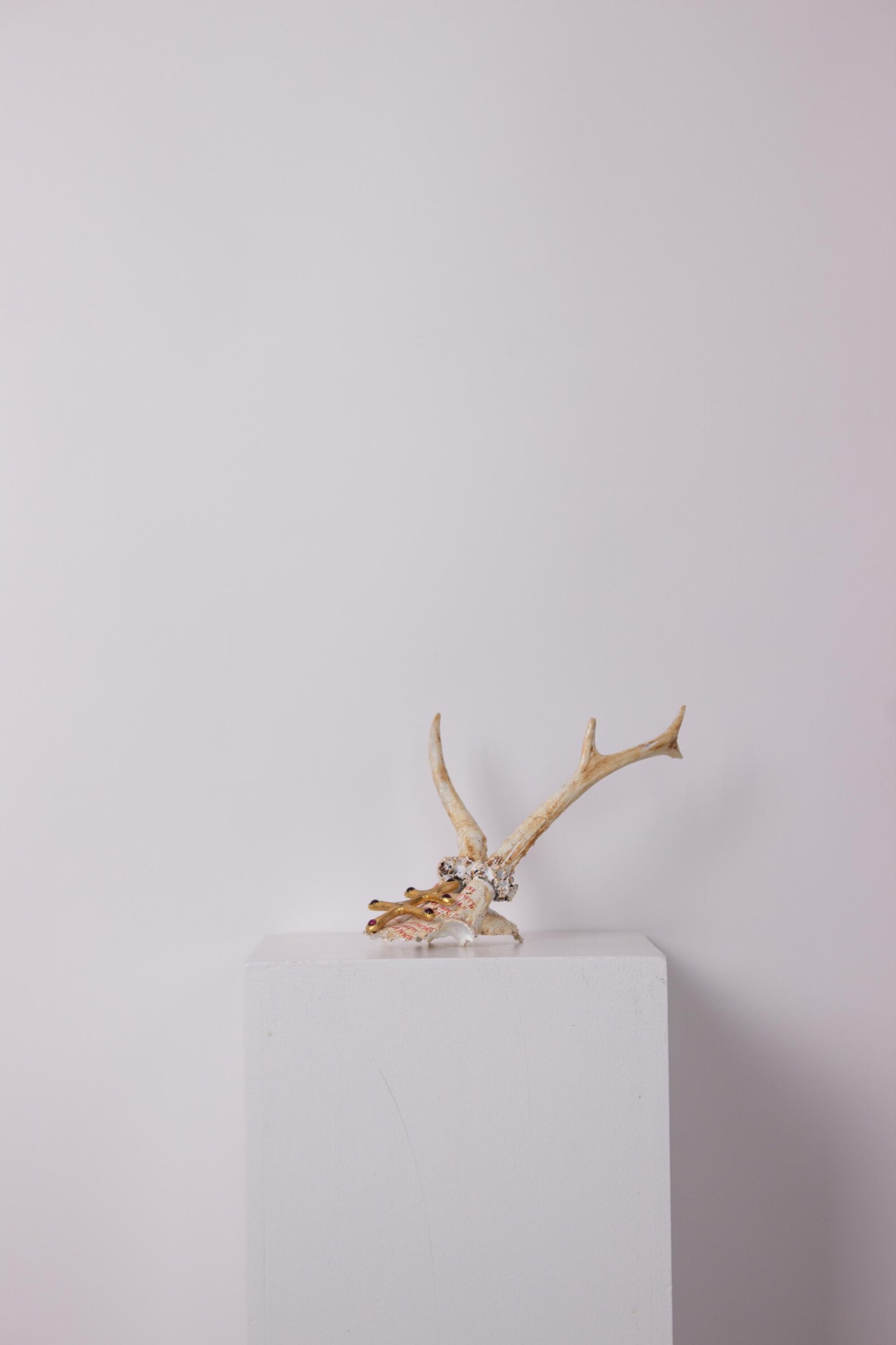 Deer Skull Sculpture With Church Slavic Text and Patriarchal Cross ...