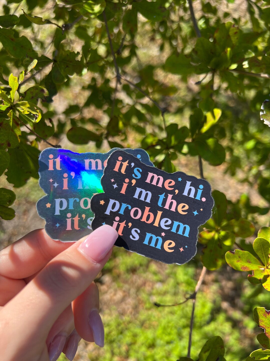 Im the Problem Its Me Sticker, Water Bottle Sticker, Kindle Sticker ...