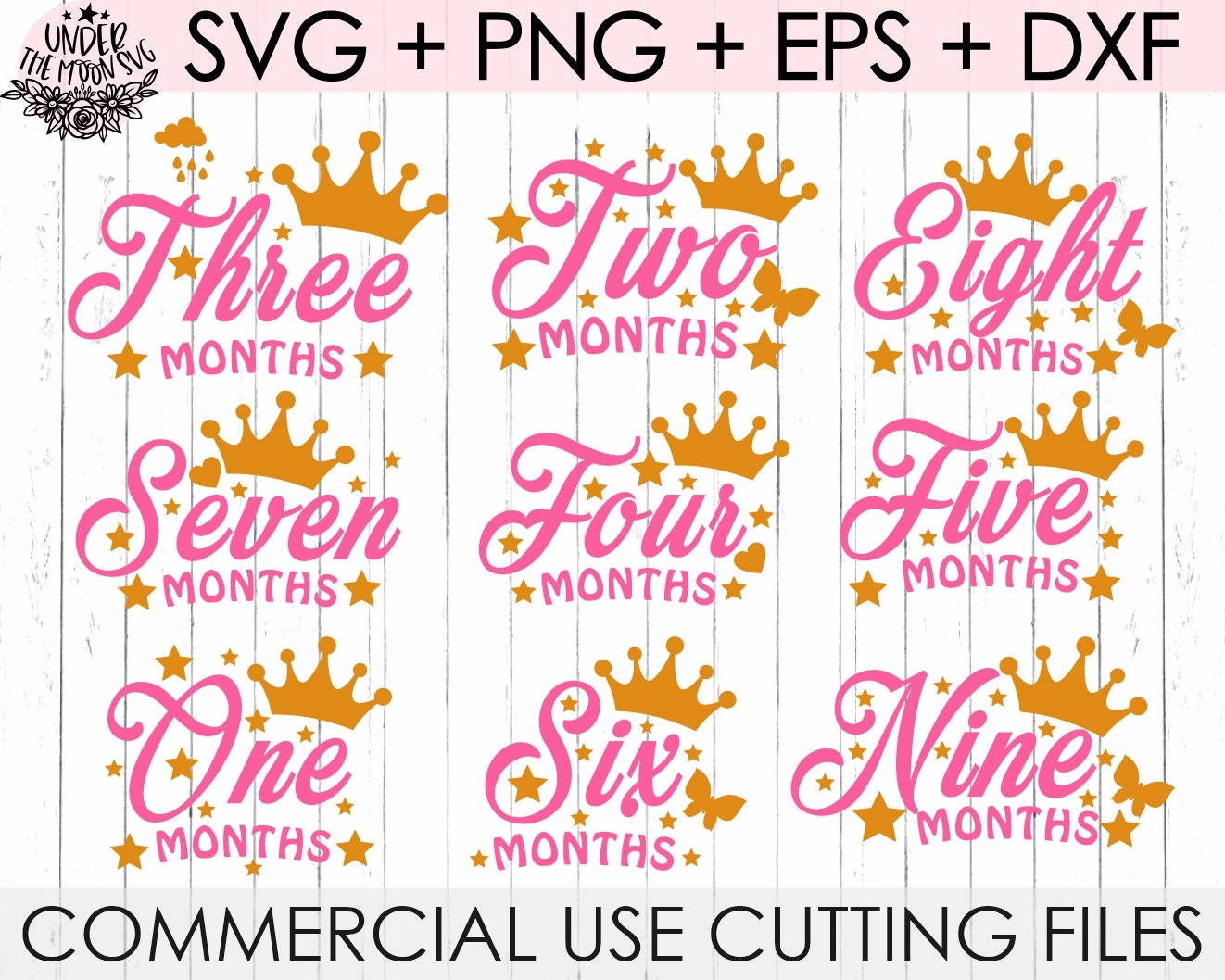 Princess Age Months SVG Cutting File / Baby Months SVG Cutting - Etsy UK