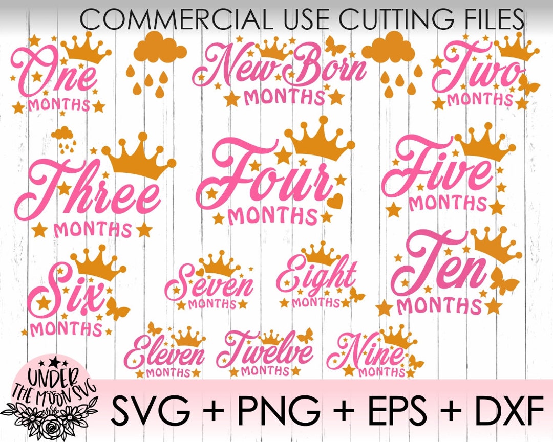 Princess Age Months SVG Cutting File / Baby Months SVG Cutting File ...