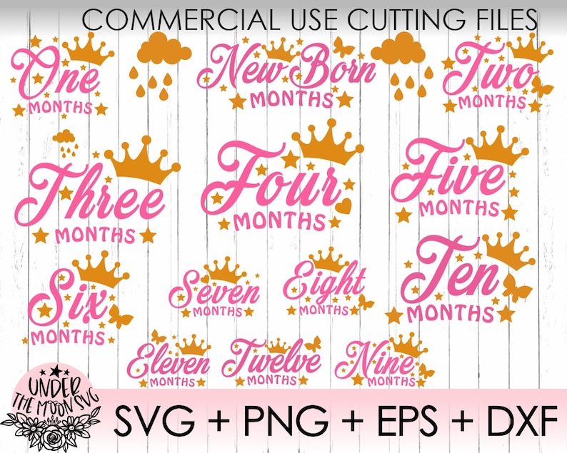 Princess Age Months SVG Cutting File / Baby Months SVG Cutting File ...