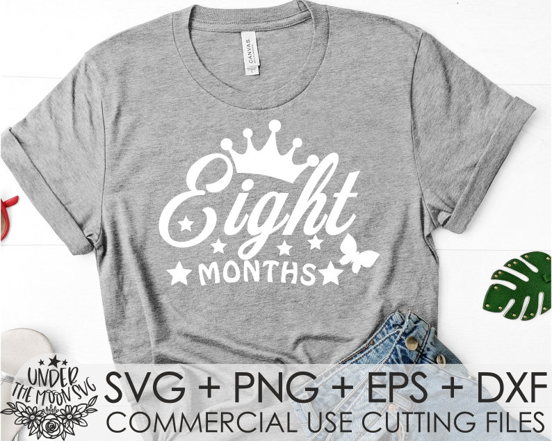 Princess Age Months SVG Cutting File / Baby Months SVG Cutting File ...