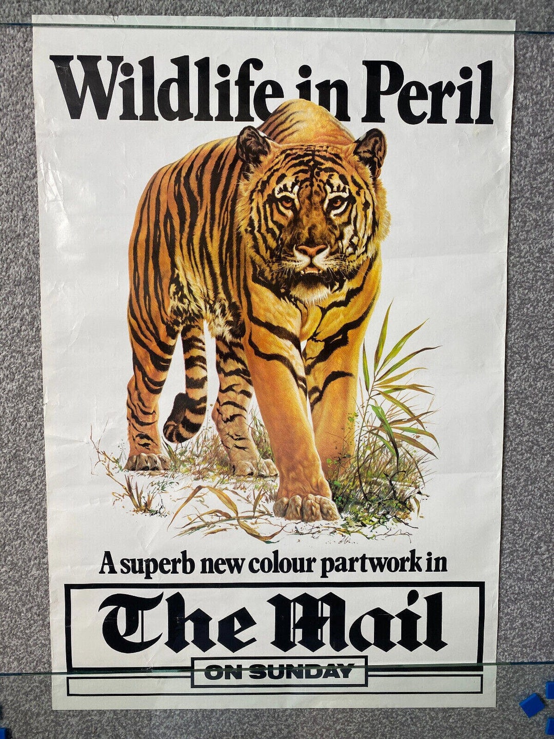 Vintage 1982 'wildlife in Peril' Tiger Poster Mail - Etsy