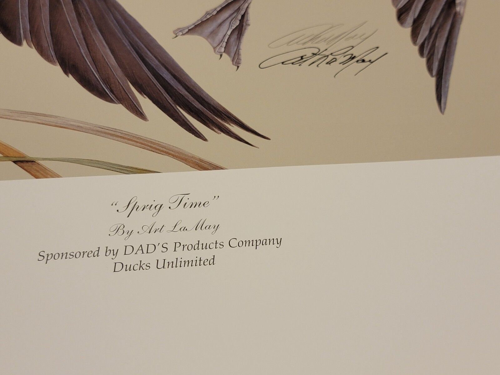 1999 Signed Art Lamay "spring Time" Ducks Unlimited Poster Art Print 29 ...