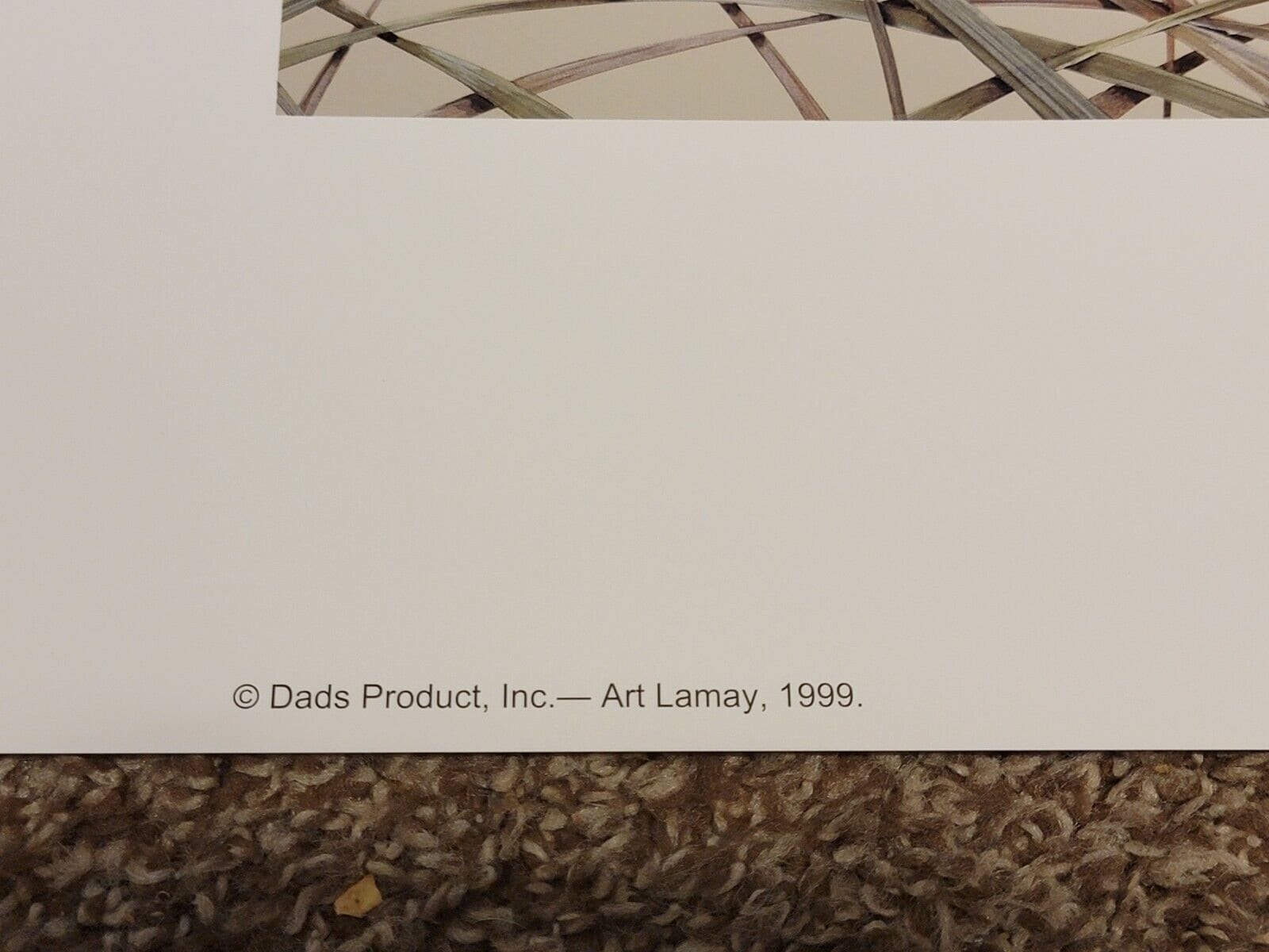 1999 Signed Art Lamay "spring Time" Ducks Unlimited Poster Art Print 29 ...