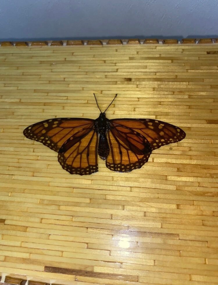 Vintage Prison Art Matchstick Jewelry Box - Etsy