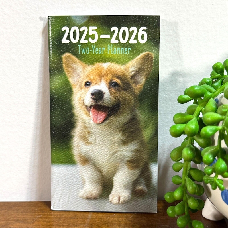 The Paw Print Calendar 2025 2026 - Etsy