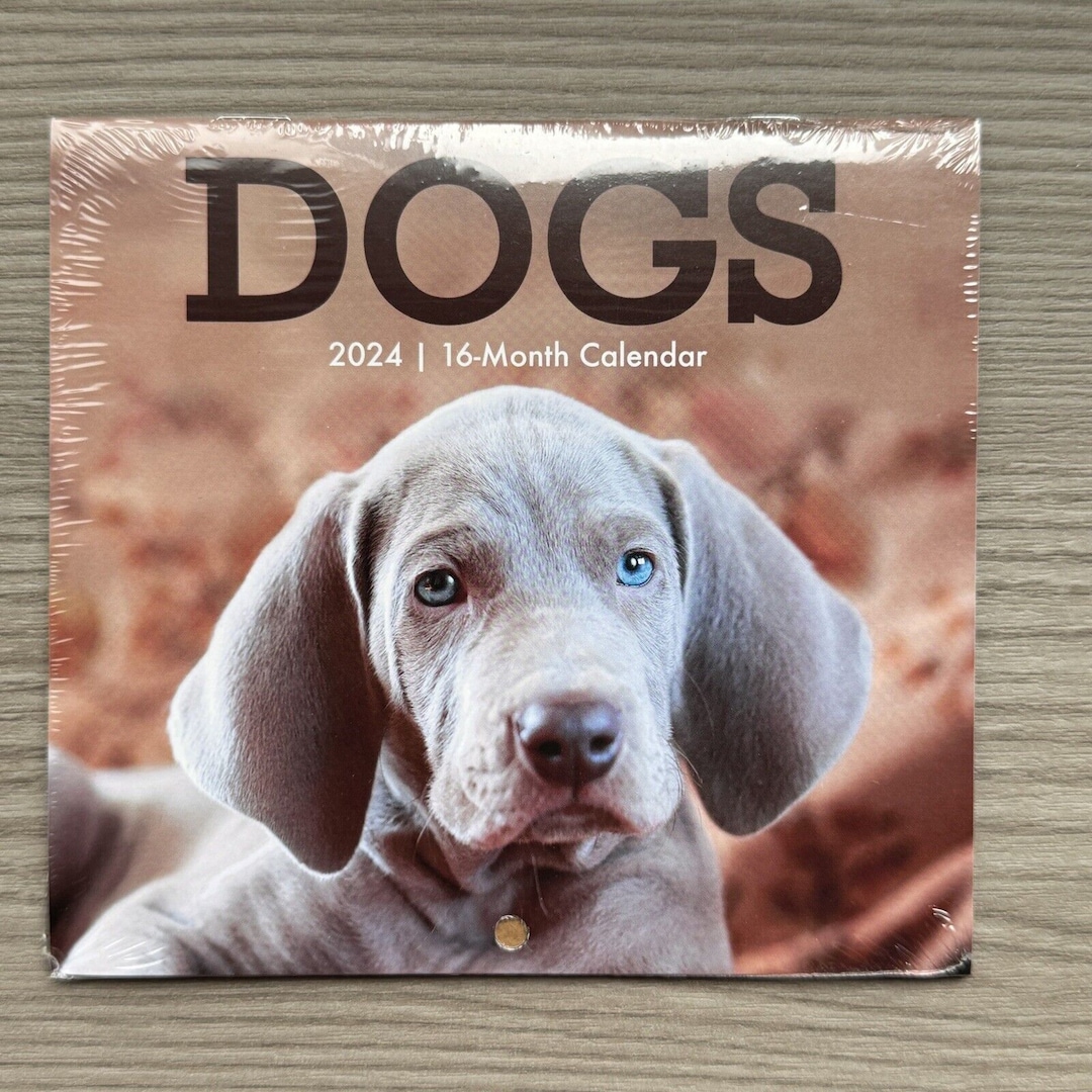 2024 Mini Calendar Wall 5.6x5.3 Dogs and Puppies - Etsy