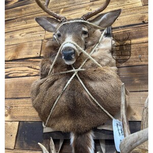 Trapper Nelson Style Reproduction Pack Board for Decor Purposes - Etsy