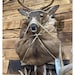 Trapper Nelson Style Reproduction Pack Board. Hunting Pack Out Frame - Etsy