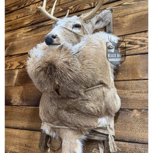 Trapper Nelson Style Reproduction Pack Board for Decor Purposes - Etsy