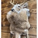 Trapper Nelson Style Reproduction Pack Board. Hunting Pack Out Frame - Etsy