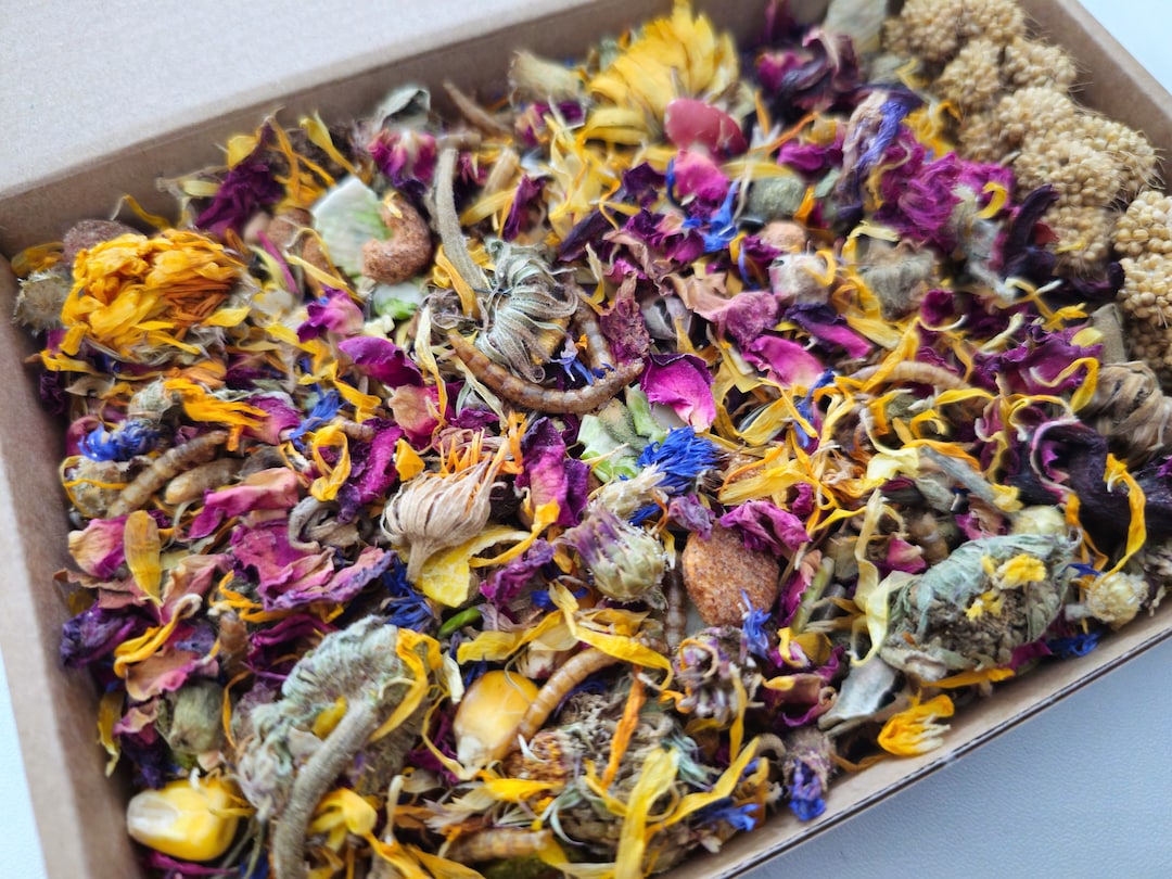 Mini Premium Hamster Foraging Box With Millet Spray | A Blend of Forage ...