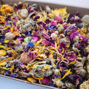 Mini Premium Hamster Foraging Box With Millet Spray | A Blend of Forage ...