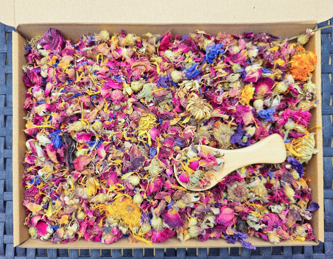 Premium Flower Forage Box | Natural Forage for Rabbits - Chinchillas ...