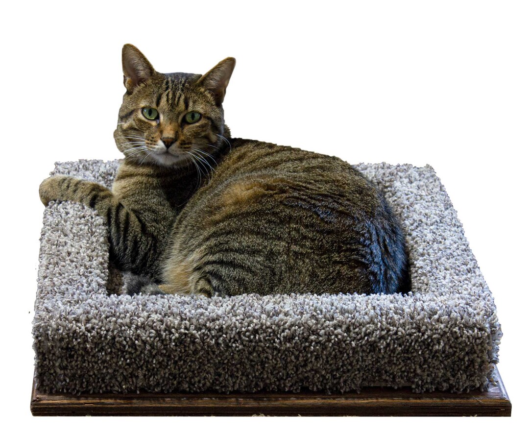 Cat Nap & Scratching Pad Large Square Kitty Cozy Bed - Etsy