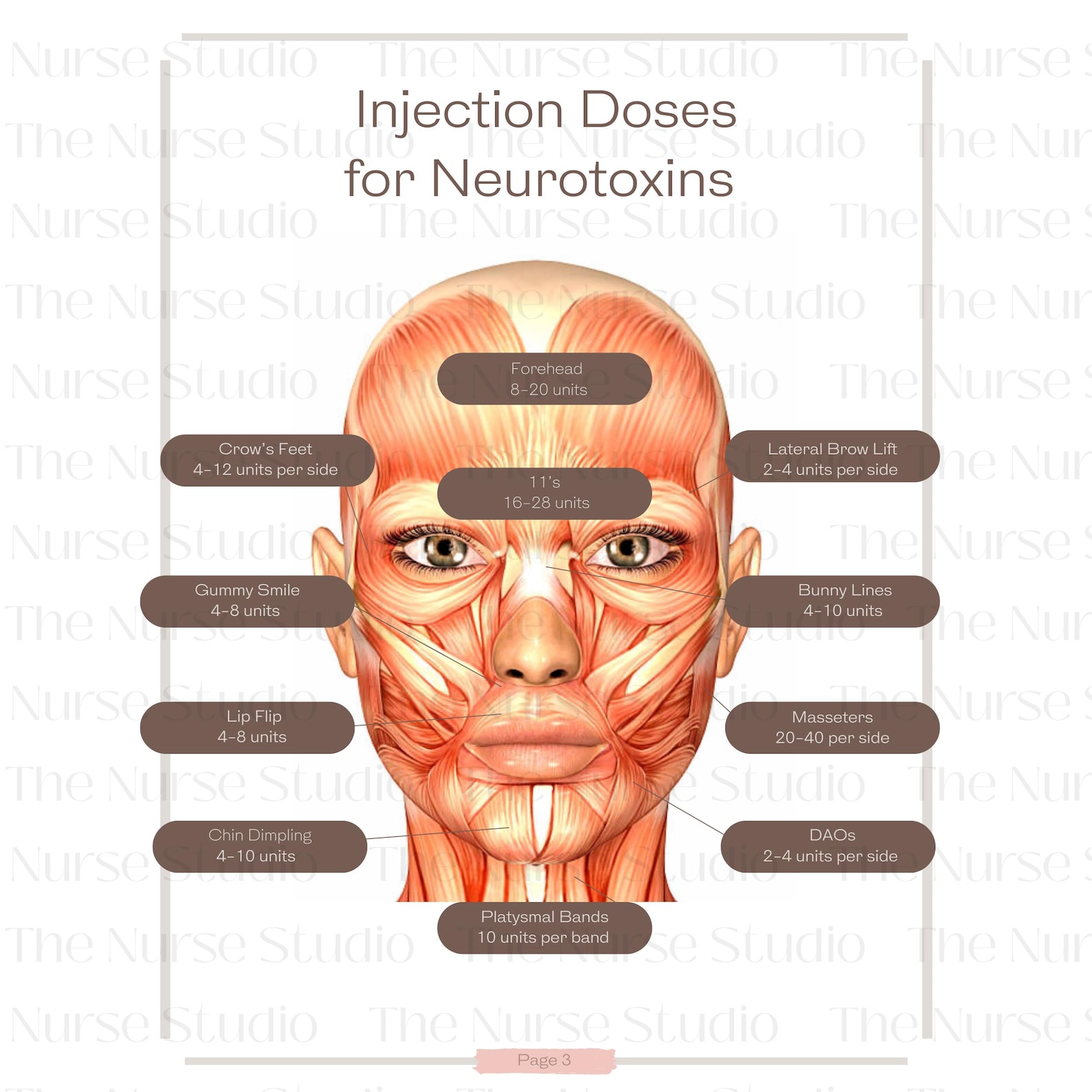 Aesthetic Nurse Injector Anatomy Guide, Nurse Cheat Sheets, Botox ...