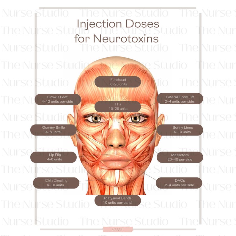 Aesthetic Nurse Injector Anatomy Guide, Nurse Cheat Sheets, Botox ...