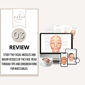 Aesthetic Nurse Injector Anatomy Guide, Nurse Cheat Sheets, Botox ...