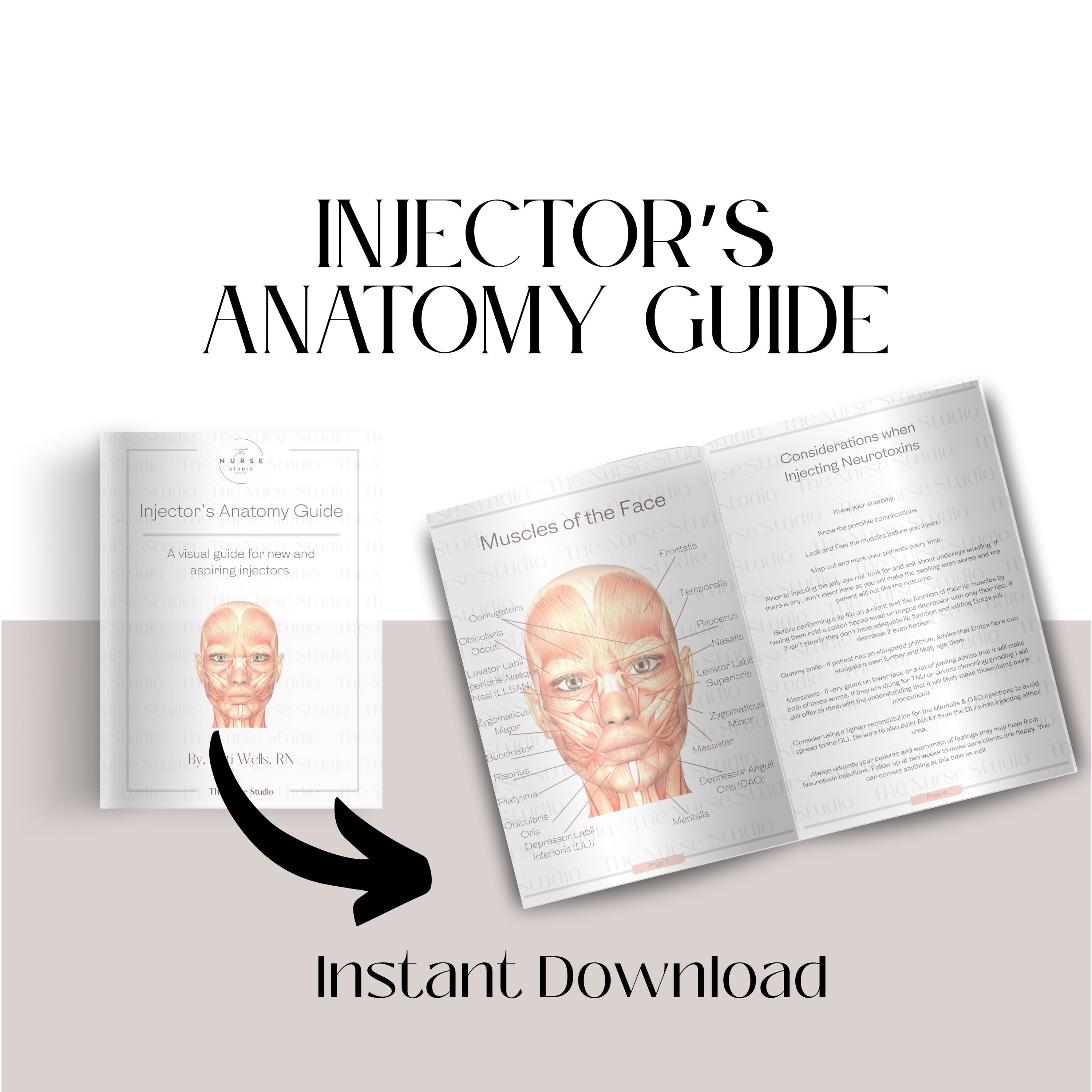 Aesthetic Nurse Injector Anatomy Guide, Nurse Cheat Sheets, Botox ...