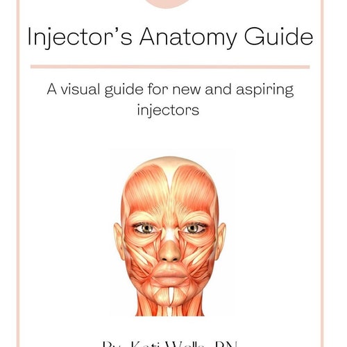Anatomy Guide for New Aesthetic Nurse Injectors Botox Filler - Etsy