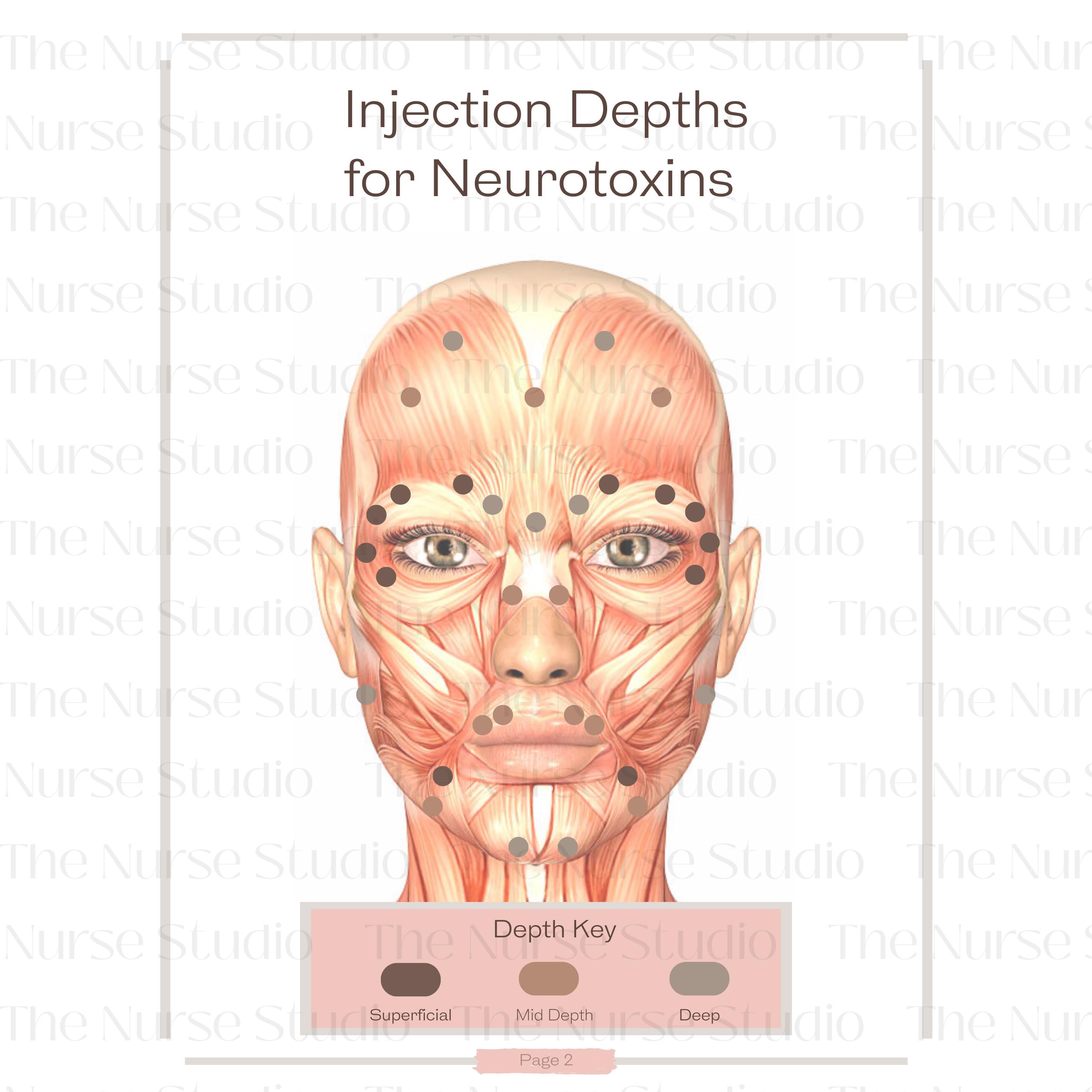 Aesthetic Nurse Injector Anatomy Guide, Nurse Cheat Sheets, Botox ...