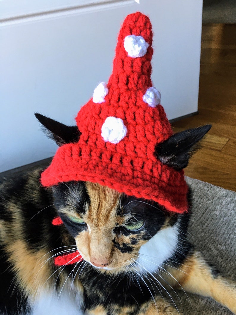 Crocheted Red Mushroom Wizard Cat Hat - Etsy