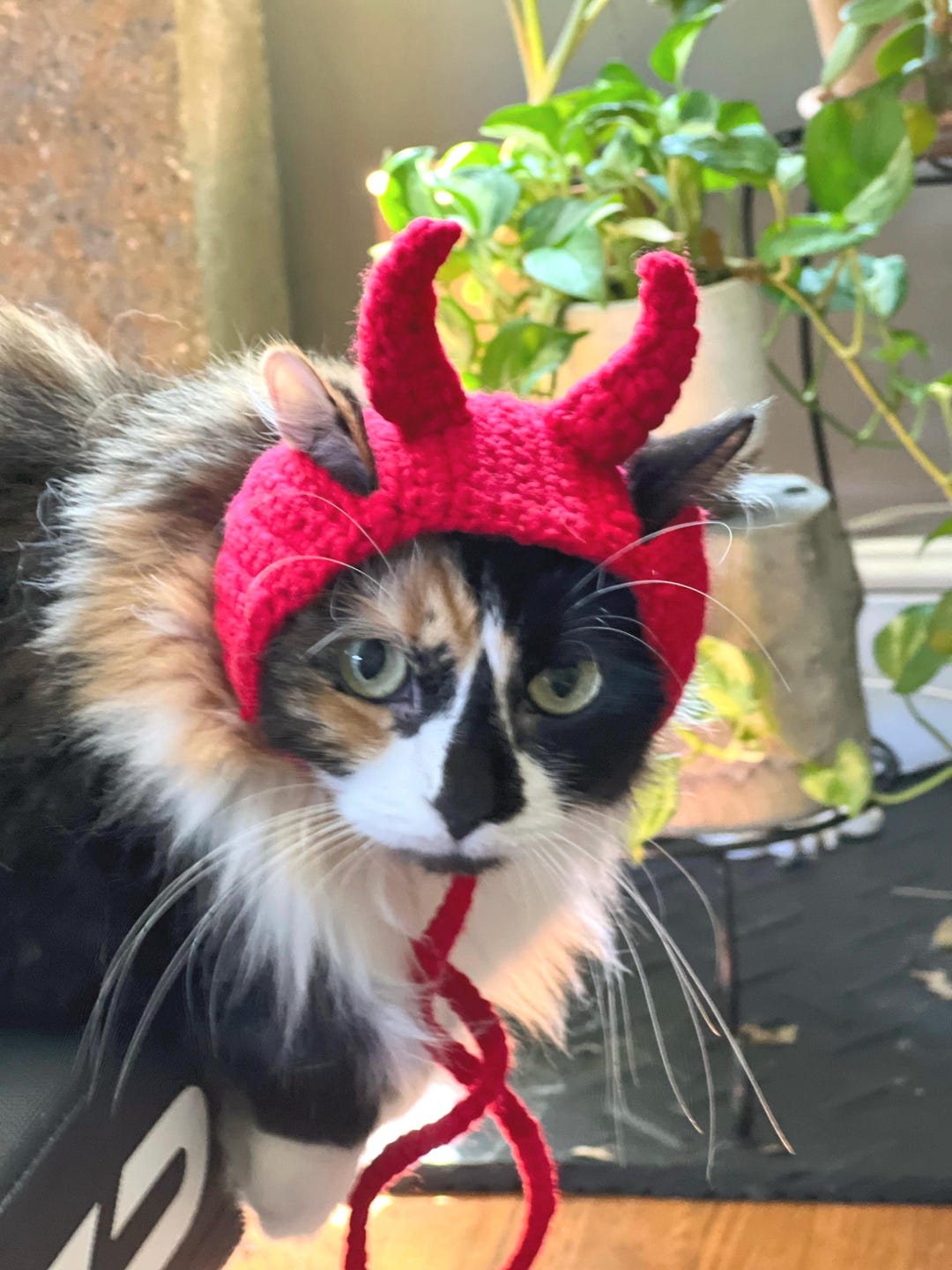 Crochet Devil Cat Hat Crochet Cat Hat Cat Accessories Cat Costumes Cat ...