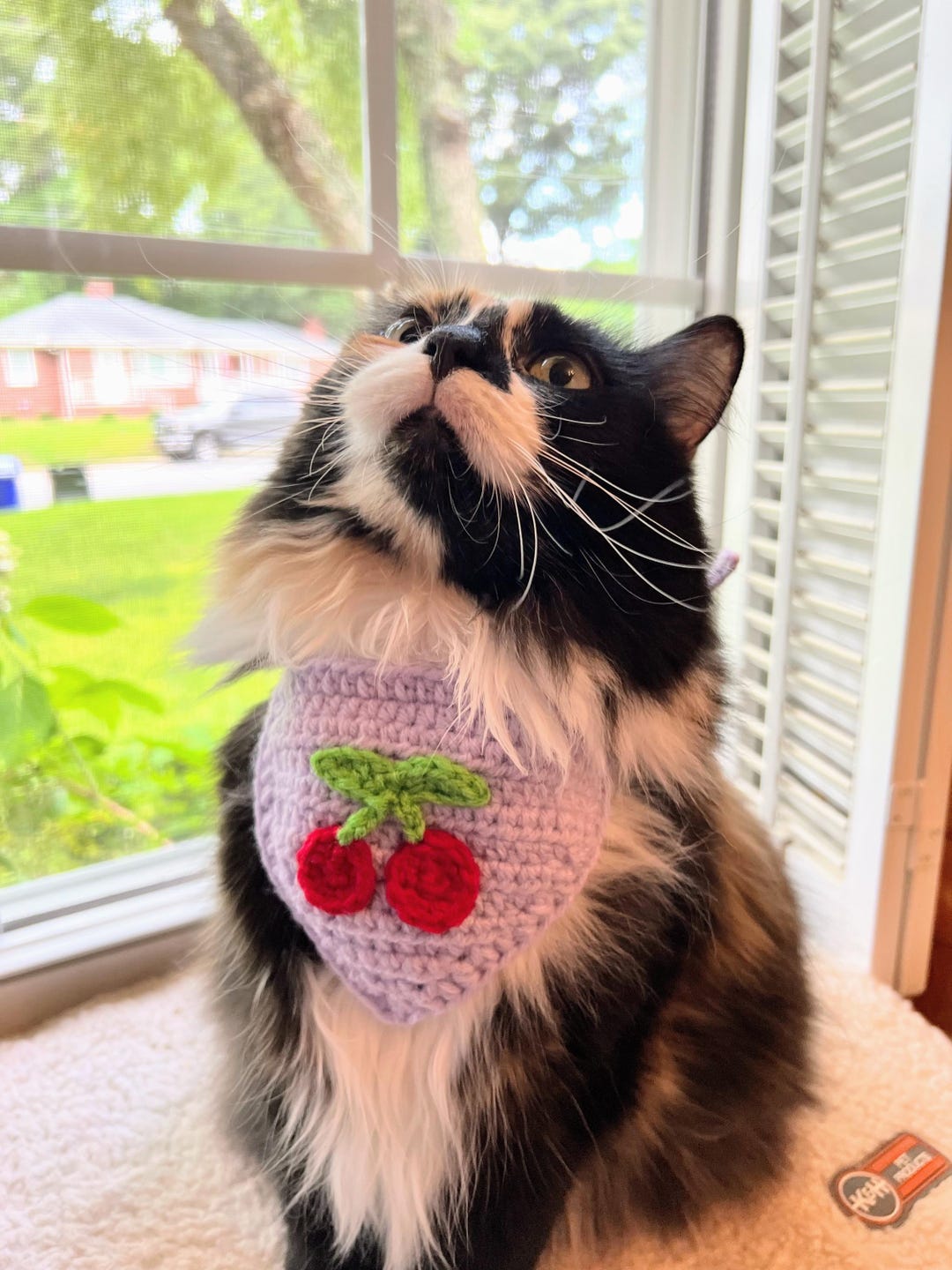 Crochet Cherry Cat Bandana Handmade Cat Bandana Cat Accessories Cat ...