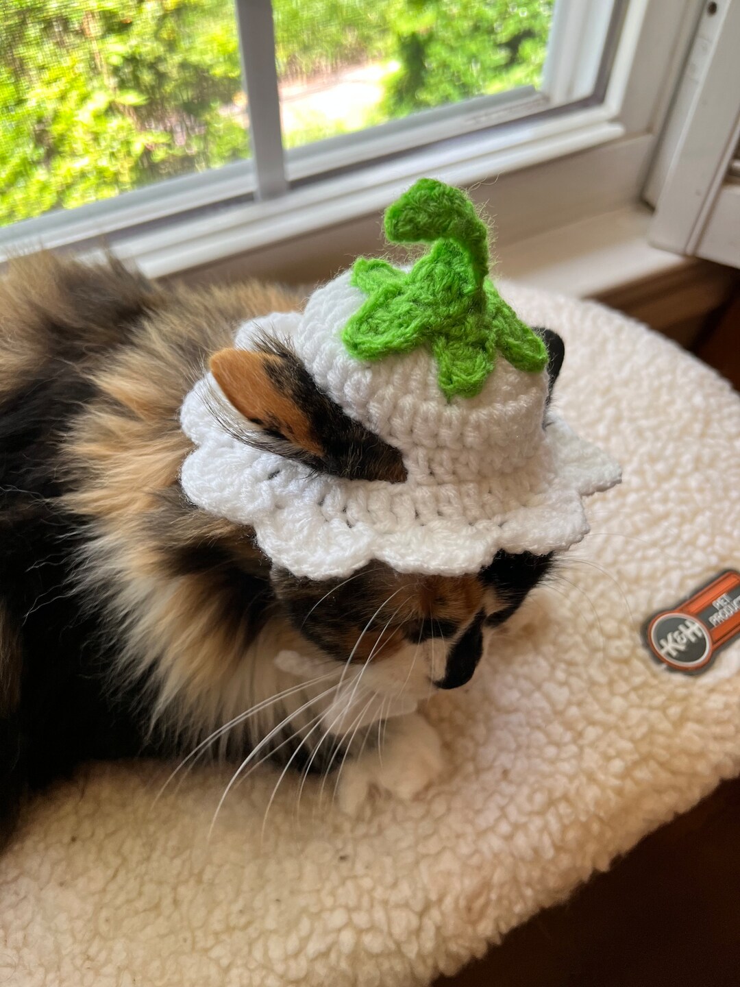 White Snowbell Flower Cat Hat Crochet Cat Hat Cat Costumes Cat ...