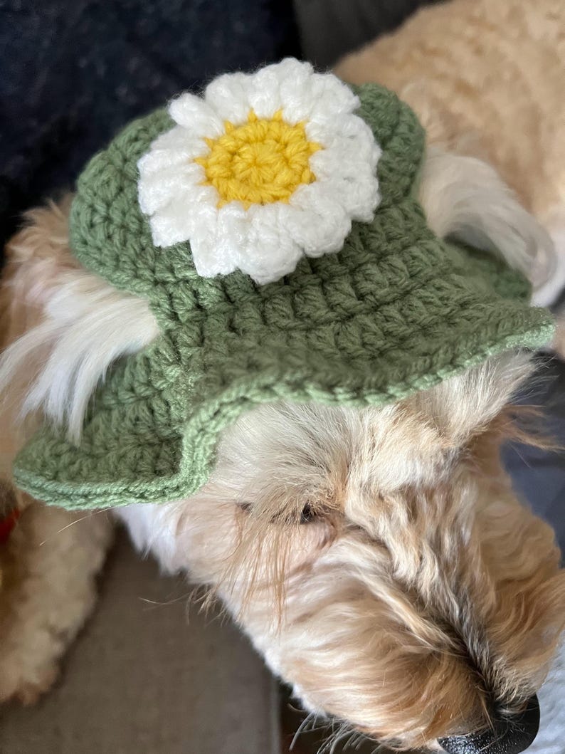 Crochet Daisy Dog Hat: Handmade Pet Costume - Etsy