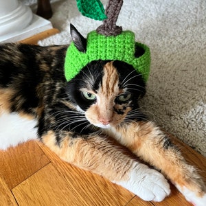 Green Apple Cat Hat Cat Accessories Cat Costumes Cat Supplies Cat ...